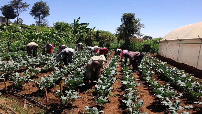 Green Growth Should be Part of Kenya’s Development Agenda - Global ...